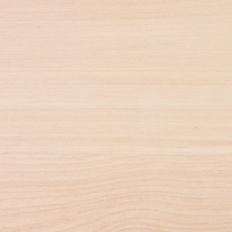 White Birch in Alpine Finish | Cabinet Materials & Finishes