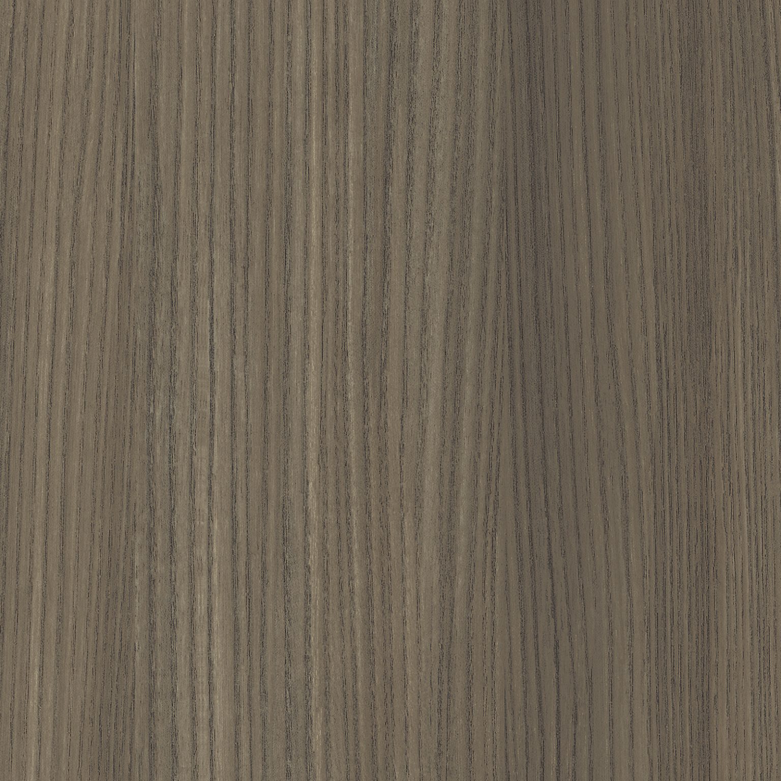 Valley Forge Elm - Conestoga Wood Specialties