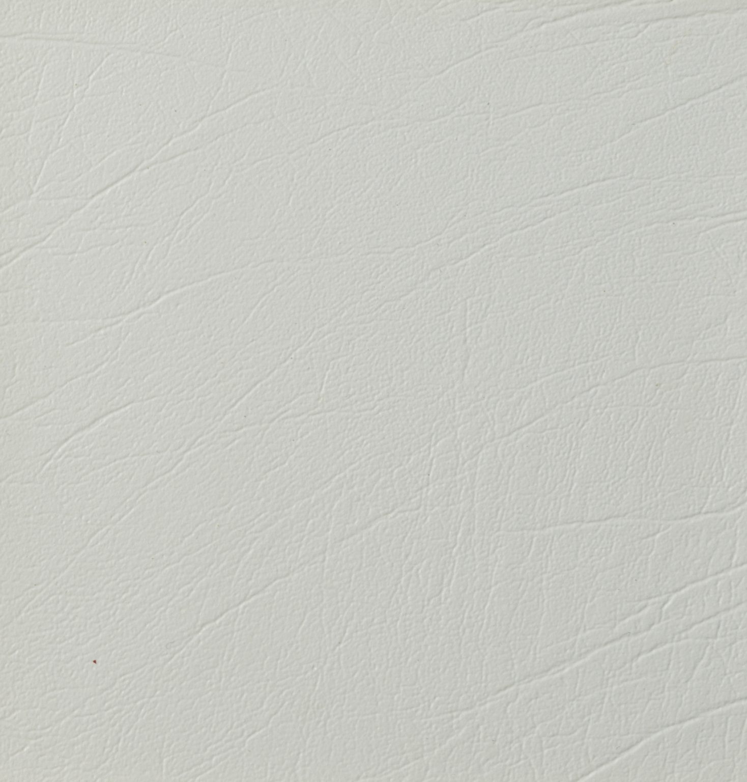 Bright White Buffalo - Elegant Wood Finish